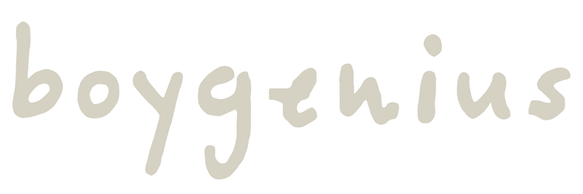 Boygenius - Official Store – Shop Exclusive Music & Merch